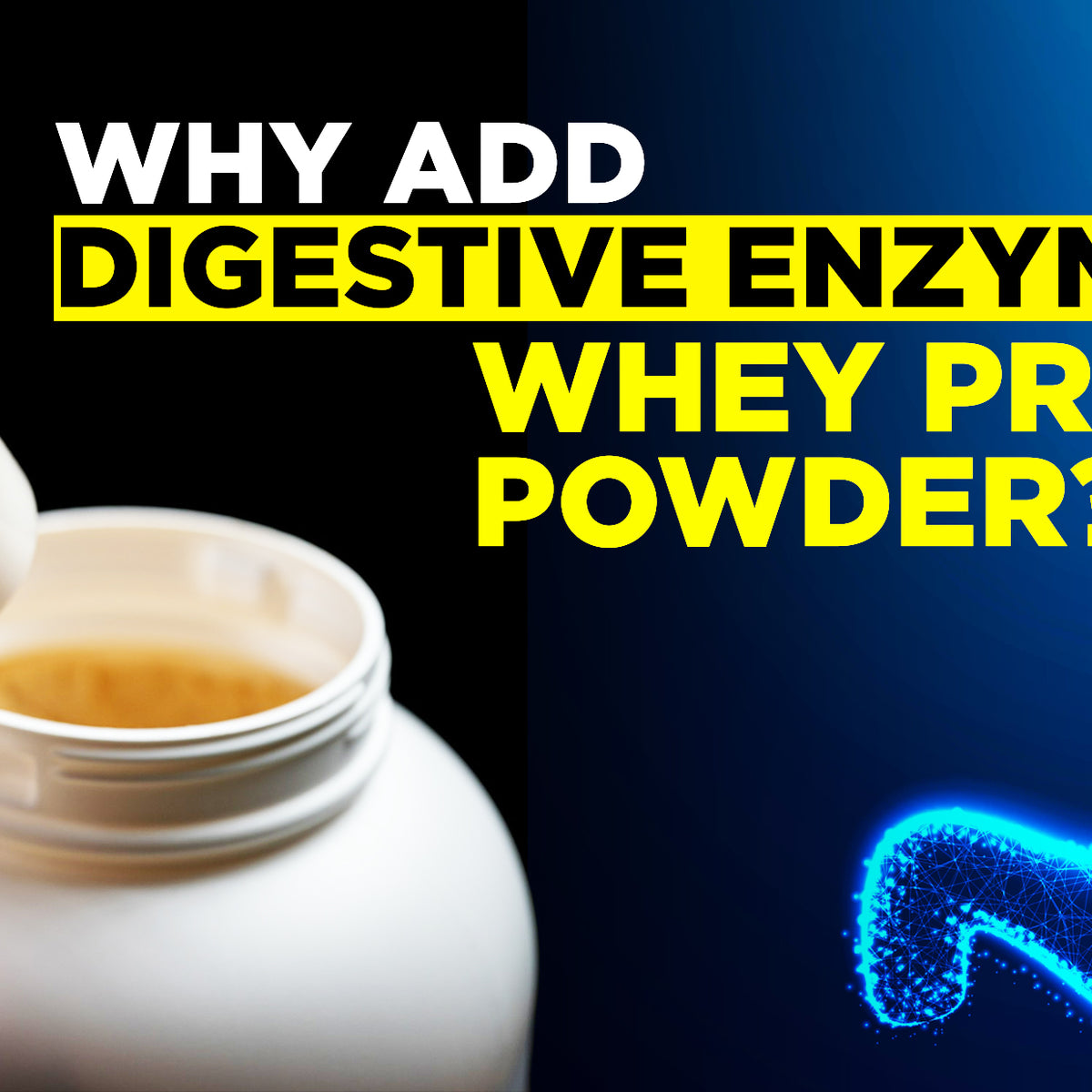Why Add Digestive Enzymes To Whey Protein Powder? – Fitspire