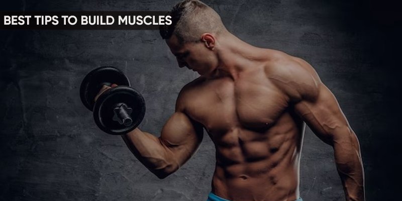 Best Tips to Build Muscles – Fitspire
