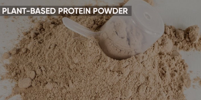 Plant-Based Protein Powder: Sources & Benefits – Fitspire